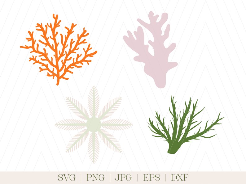 Coral SVG Jpg Png Dxf Eps Cut File Clip Art Design Assets Silhouette ...