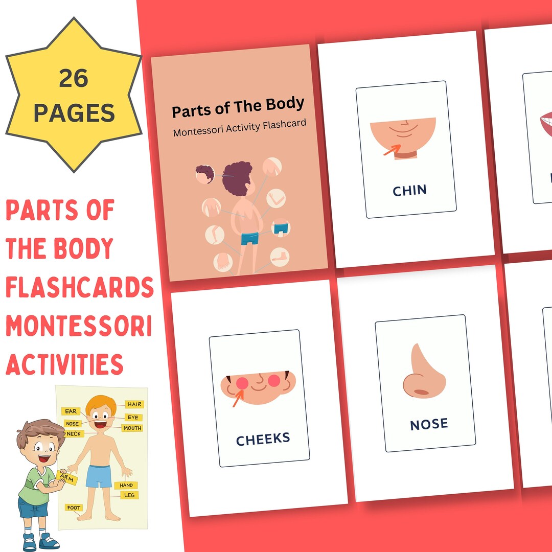 Body Parts Learning Flashcard, Montessori for Kids, Homeschooling ...