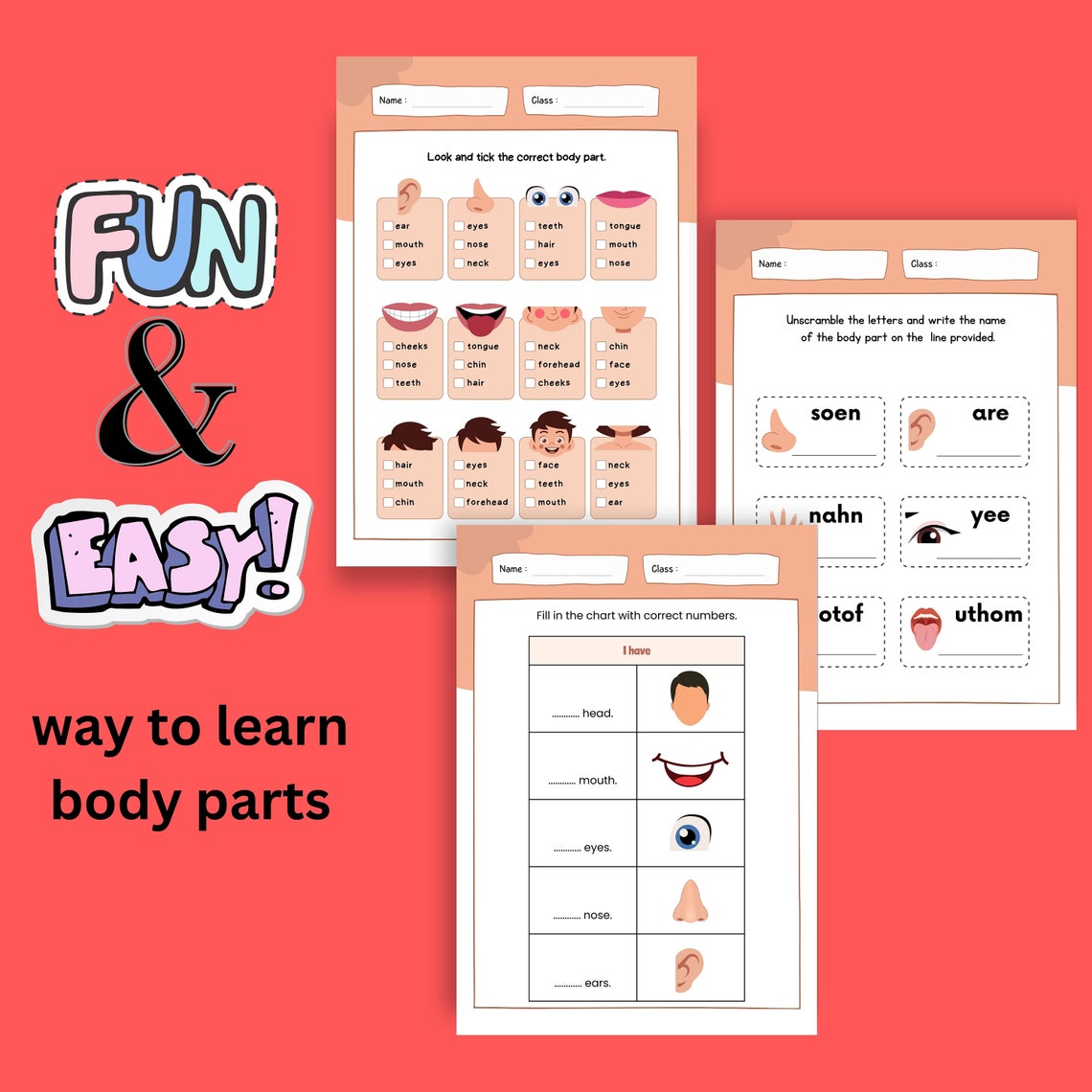 Body Parts Learning Template, Educational Kit for Kids, Body Learning ...