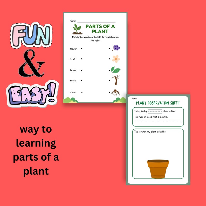 Parts of A Plant Learning, Educational Kit for Kids, Parts of Plants ...