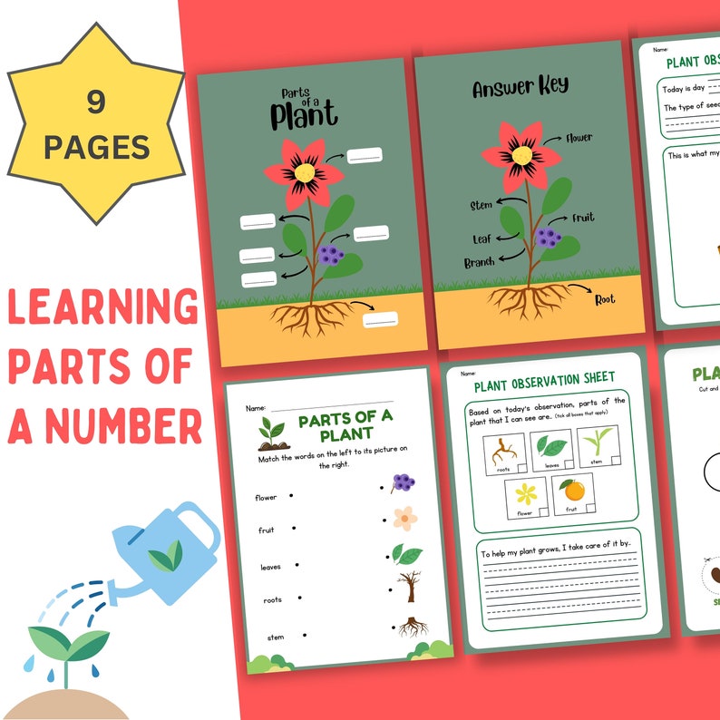 Parts of A Plant Learning, Educational Kit for Kids, Parts of Plants ...