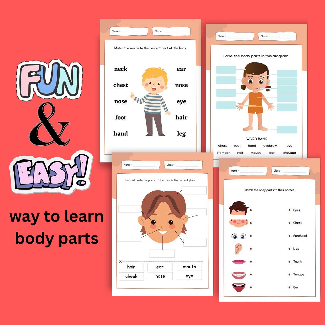 Body Parts Learning Template, Educational Kit for Kids, Body Learning ...