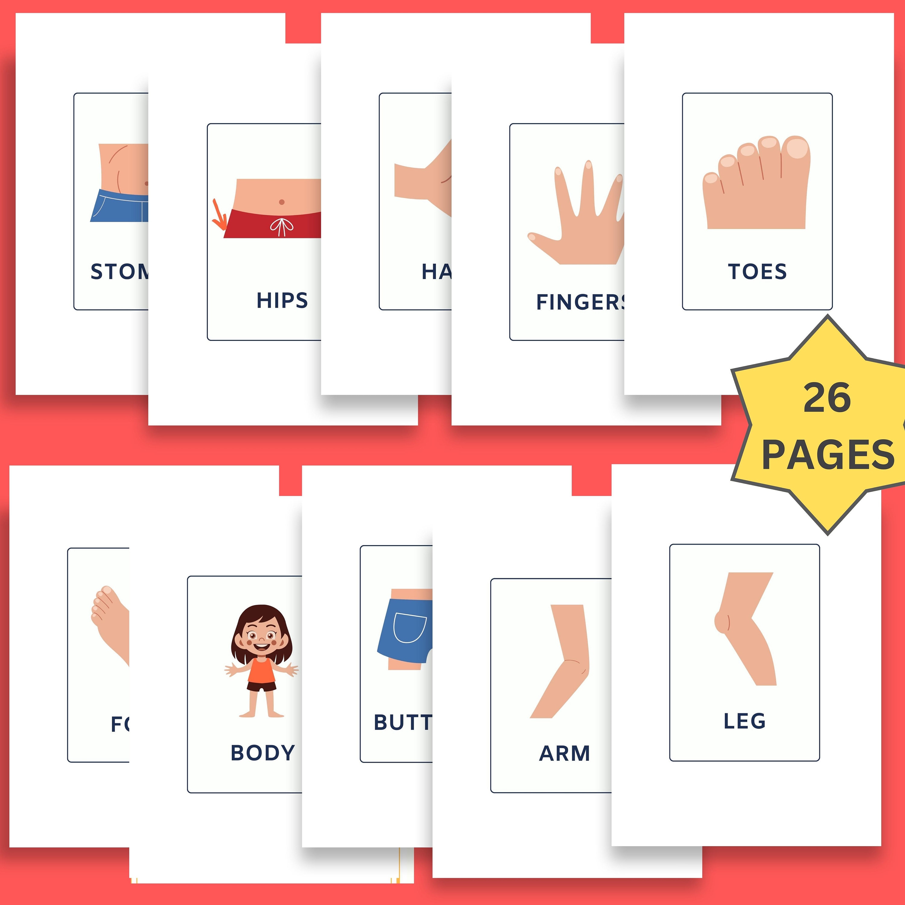Body Parts Learning Flashcard, Montessori for Kids, Homeschooling ...