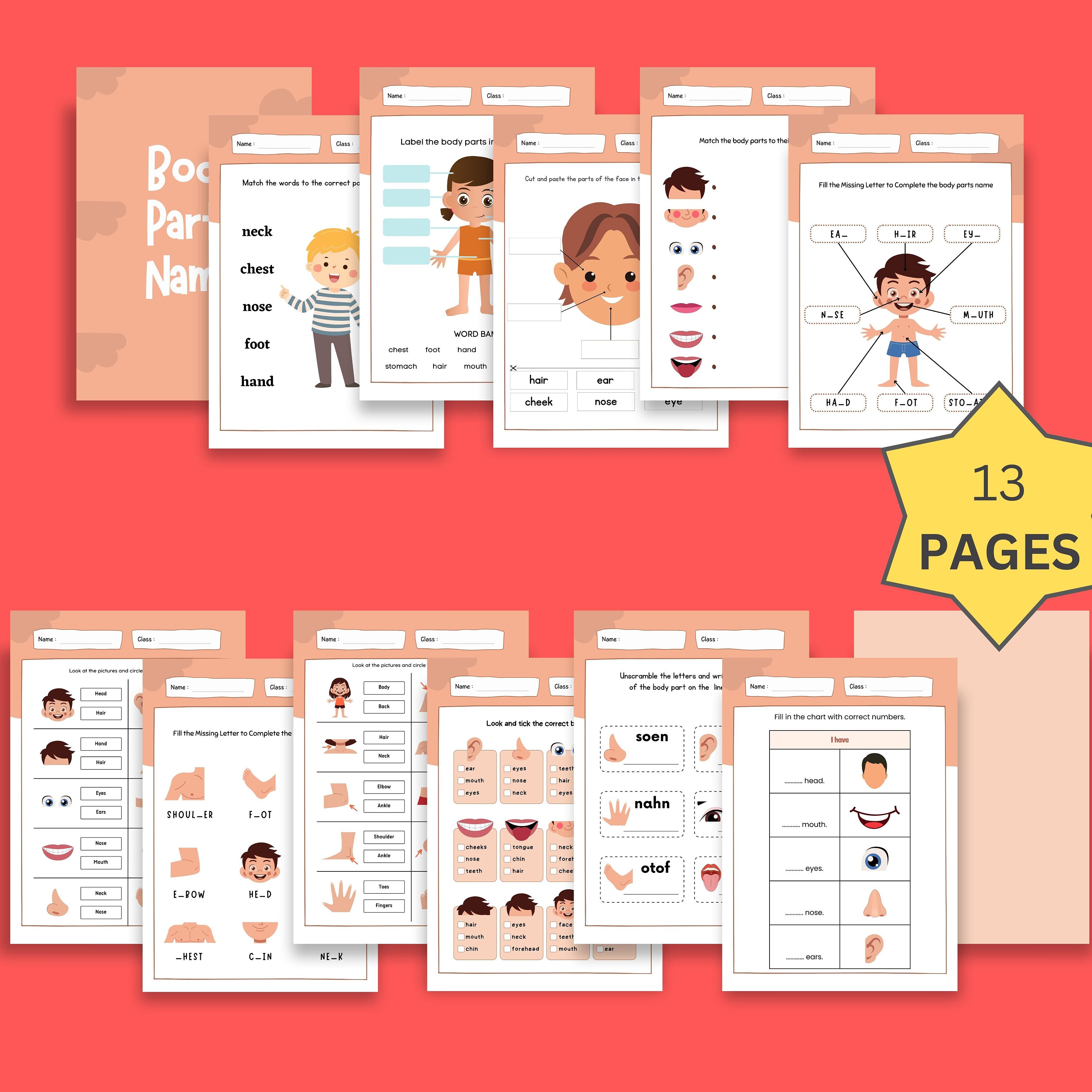 Body Parts Learning Template, Educational Kit for Kids, Body Learning ...