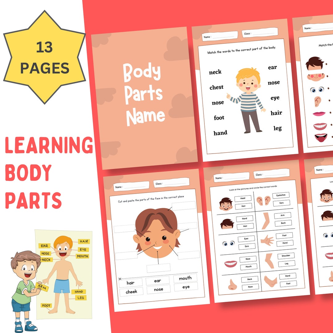 Body Parts Learning Template, Educational Kit for Kids, Body Learning ...