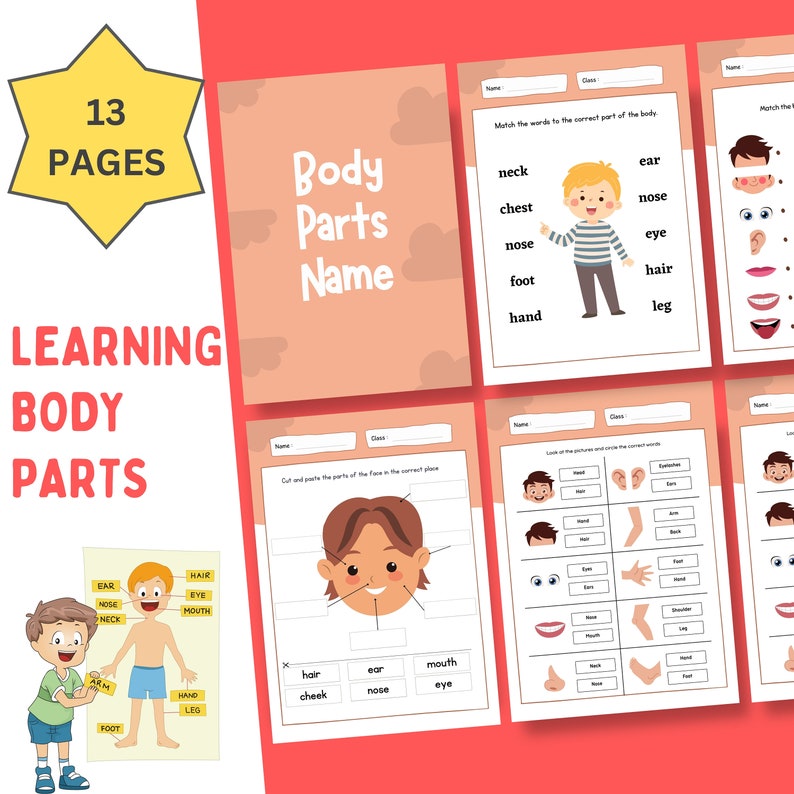 Body Parts Learning Template Educational Kit for Kids Body - Etsy