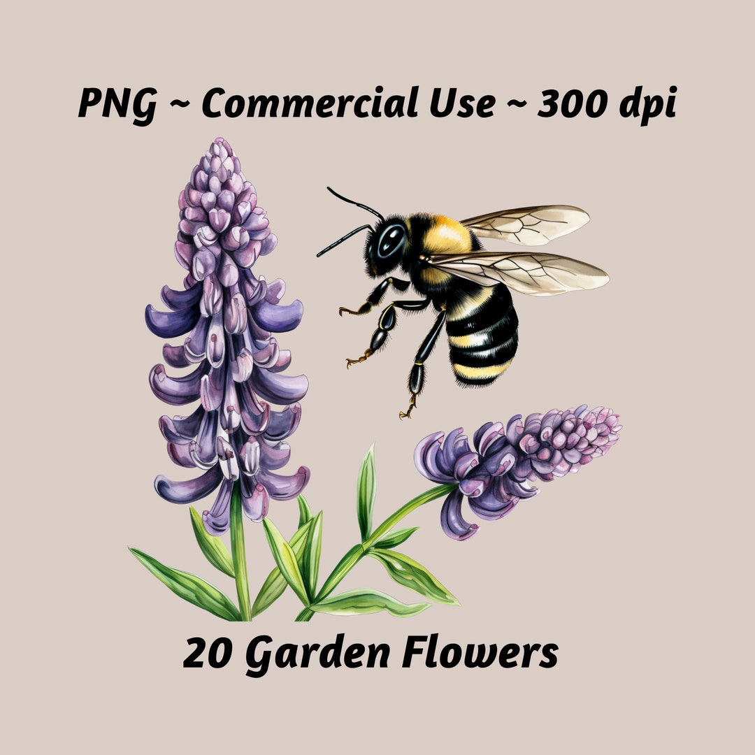 Busy Bees Clipart 20 High Quality Images Featuring Bees and Garden ...