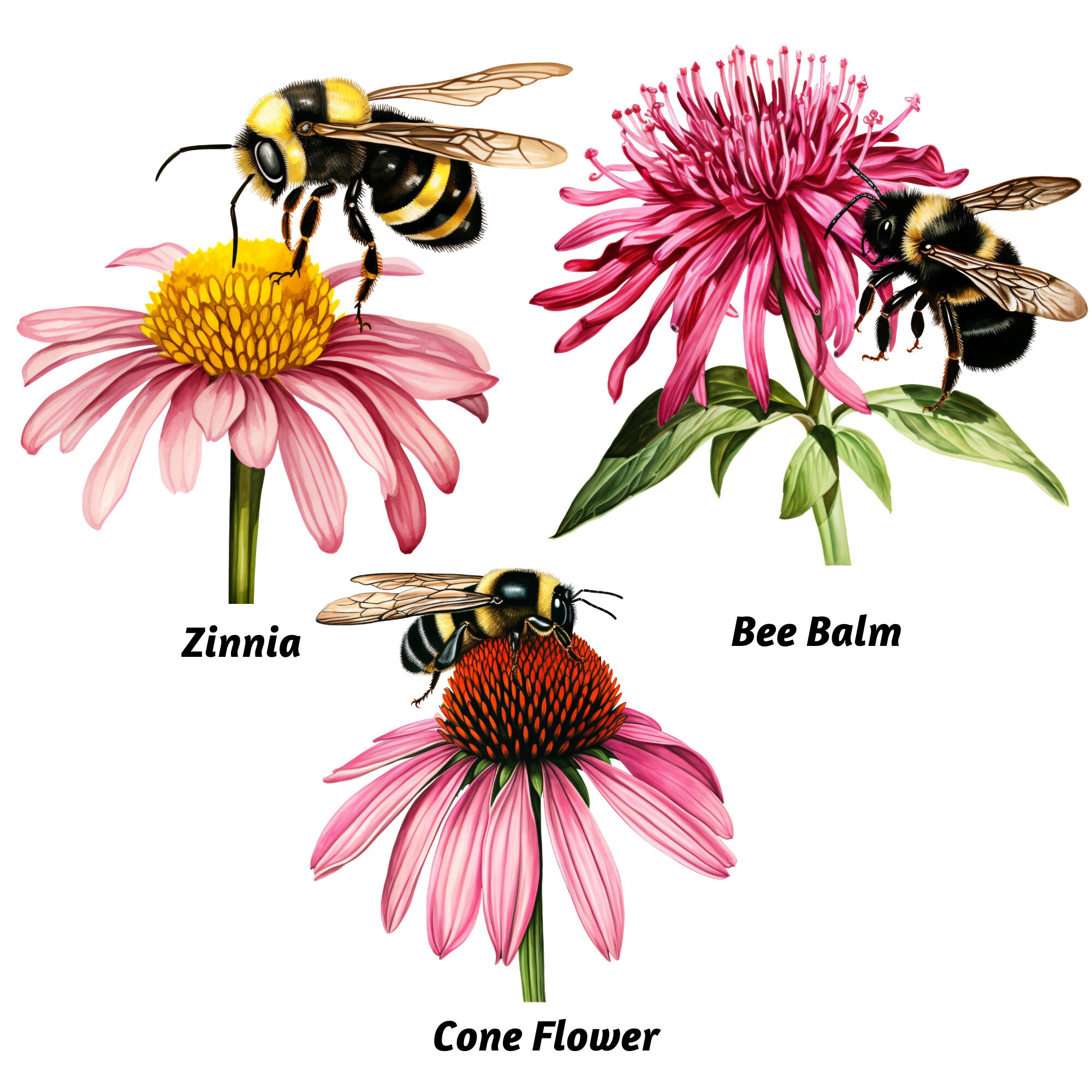 Busy Bees Clipart 20 High Quality Images Featuring Bees and Garden ...
