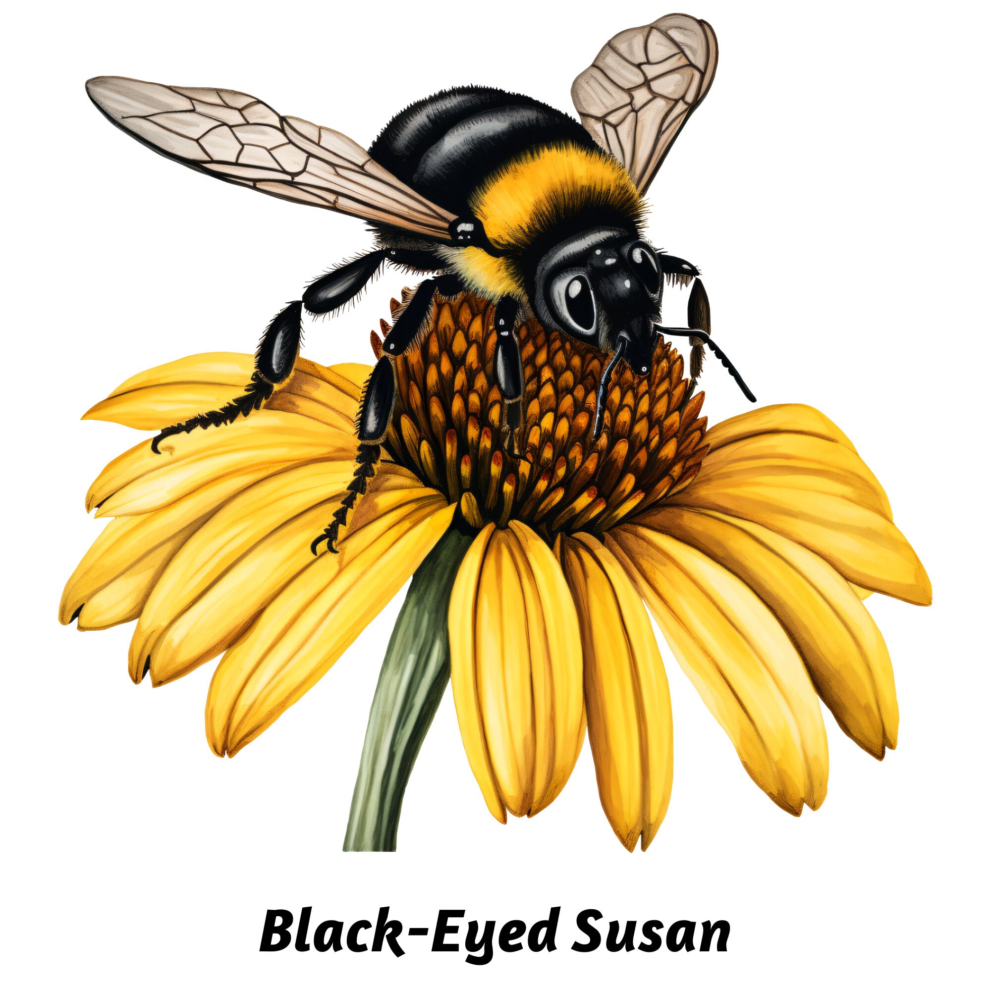 Busy Bees Clipart 20 High Quality Images Featuring Bees and Garden ...