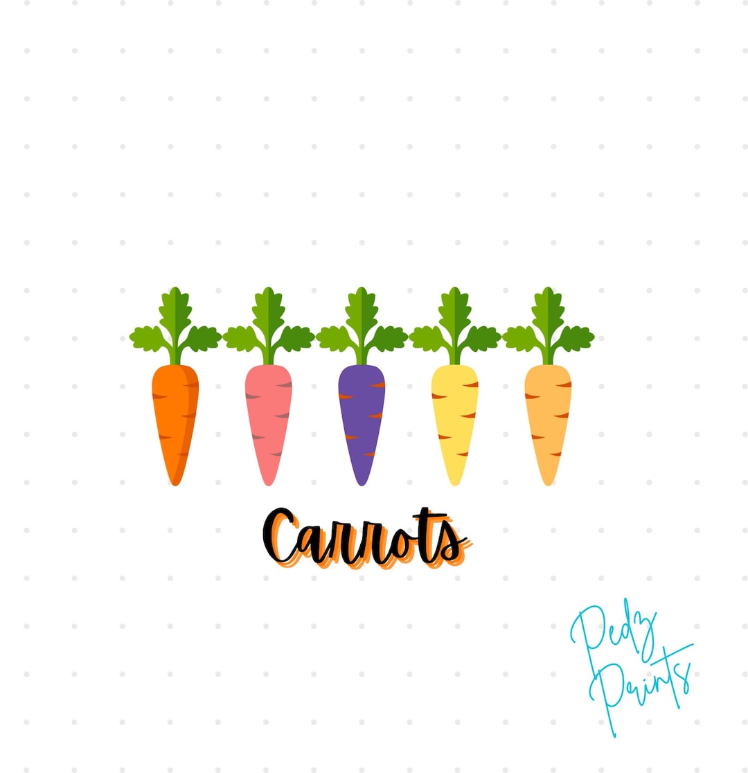 Rainbow Carrot Clip Art PNG; Fun for Any Cook or Kitchen Designs - Etsy