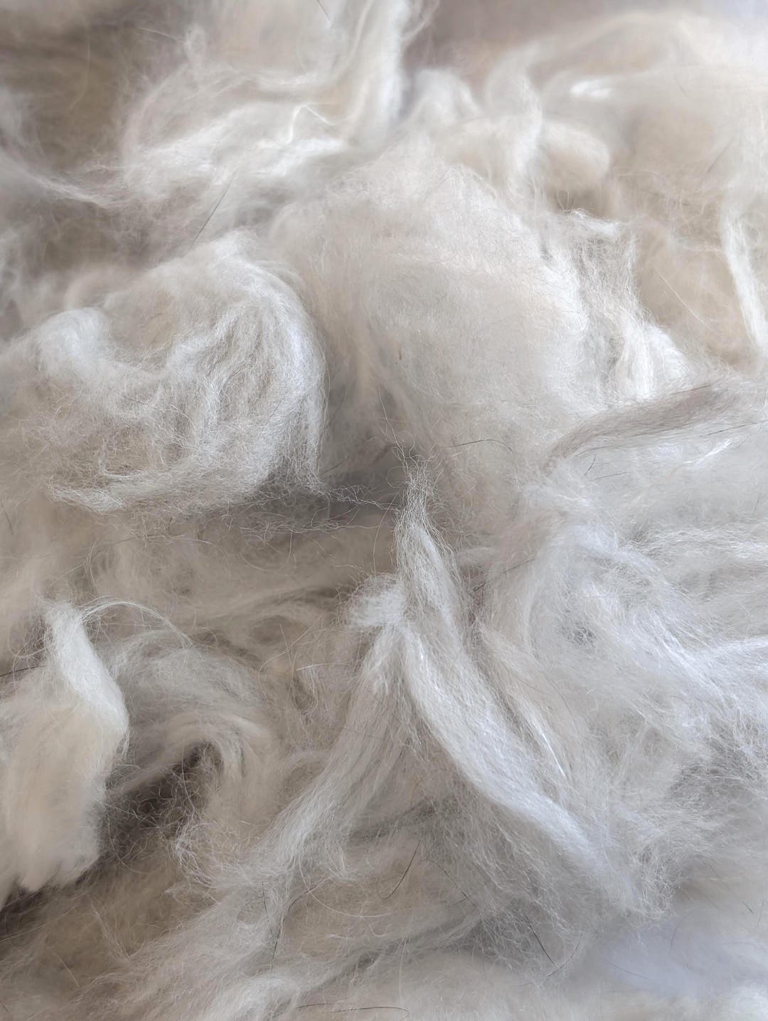 Raw Angora Rabbit Wool – 1oz – Ultra Soft Fiber From French and German ...