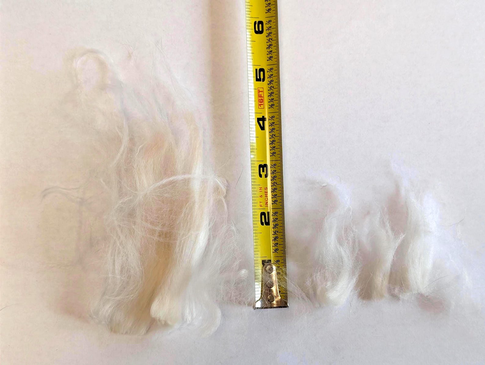 Raw Angora Rabbit Wool – 1oz – Ultra Soft Fiber From French and German ...
