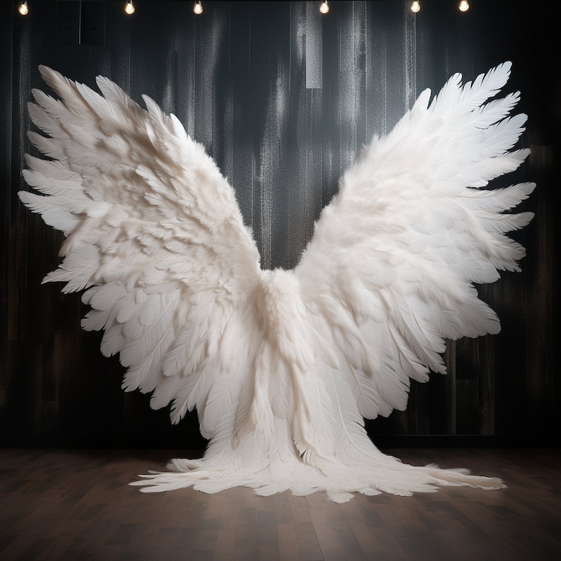 Angel Wings Backdrop - Etsy