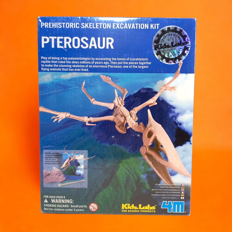 Dinosaur. Prehistoric Skelton Excavation Kit: Pterosaur. Kidz Labs 4M ...