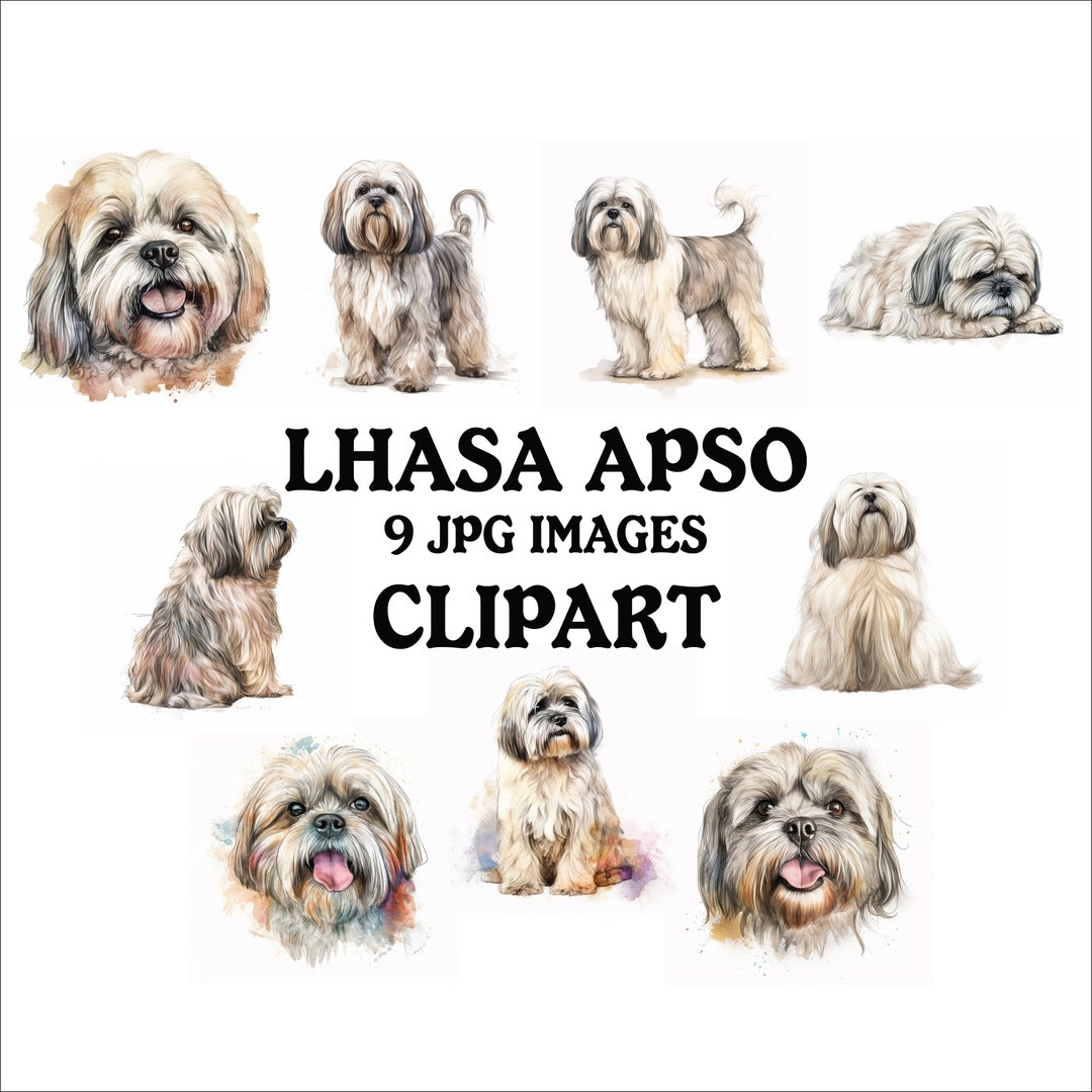 Lhasa Apso Clipart Bundle - 9 High Quality Vibrant Jpgs, Printable ...