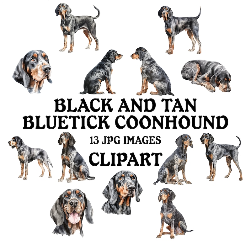 Blue Black Tan Download - Etsy