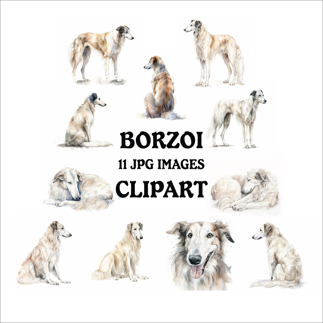 Borzoi Clipart Bundle - 11 High Quality Vibrant Jpgs, Printable Planner Crafting, Commercial Use ...