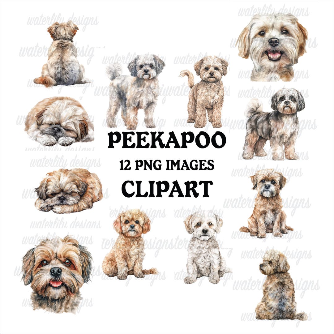 Peekapoo Clipart Bundle: Watercolor Dog Pngs (digital Download) - Etsy