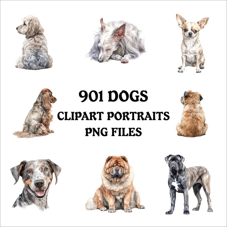 Watercolor Dog Clipart Bundle 901 High Quality Vibrant PNG Dog ...