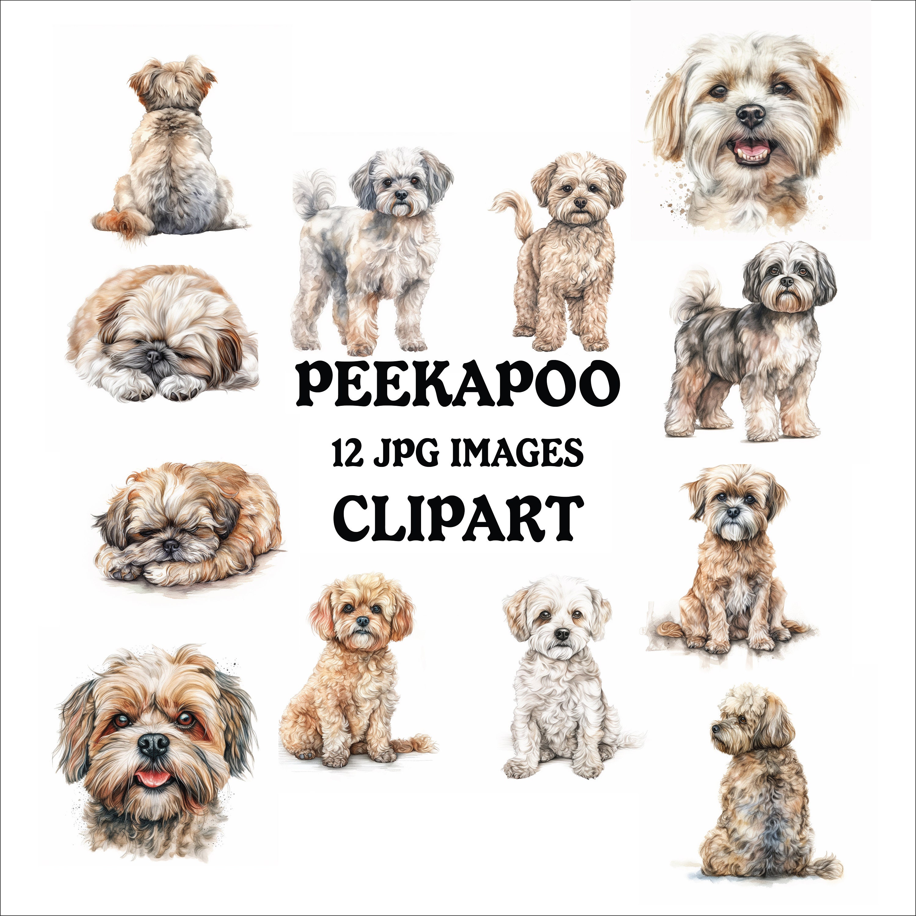 Peekapoo Clipart Bundle - 12 High Quality Vibrant Jpgs, Printable ...