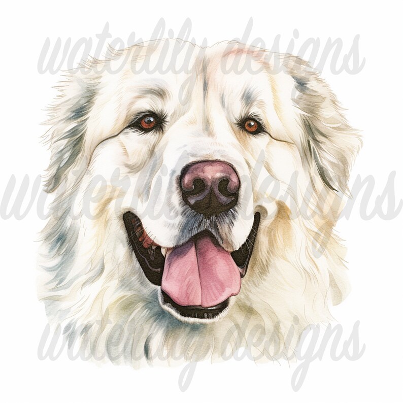 Great Pyrenees Clipart Bundle - 11 High Quality Vibrant Jpgs, Printable ...