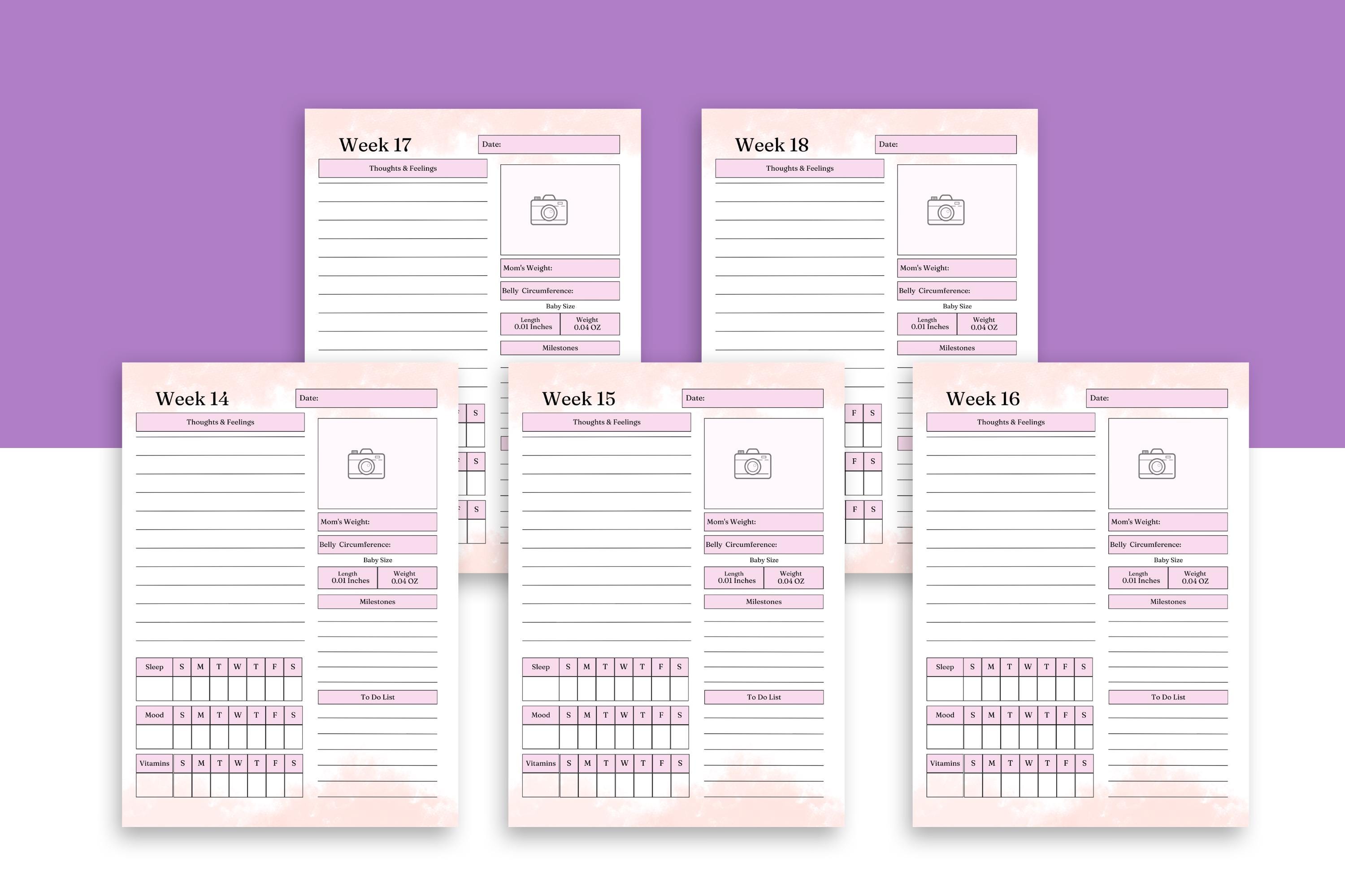 Printable Pregnancy Planner Bundle: Tracker & Checklist (commercial Use ...