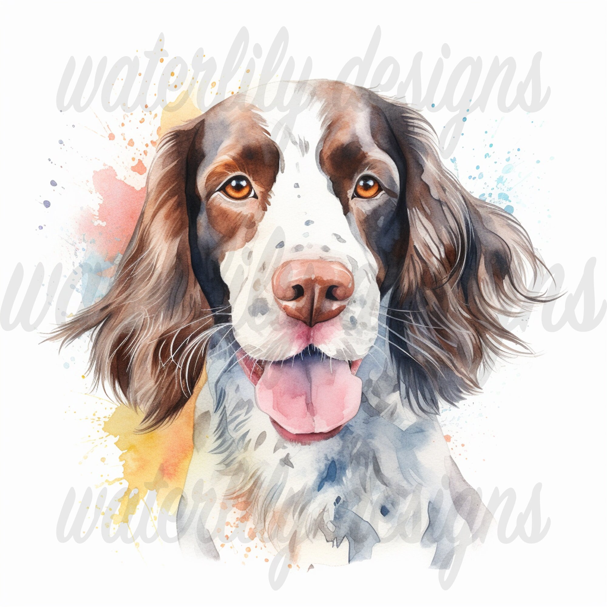 English Springer Spaniel Clipart Bundle 12 High Quality Jpgs, Printable ...