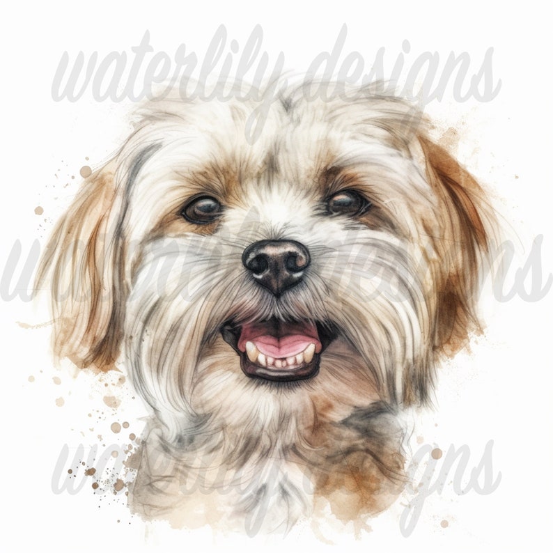 Peekapoo Clipart Bundle - 12 High Quality Vibrant Jpgs, Printable ...