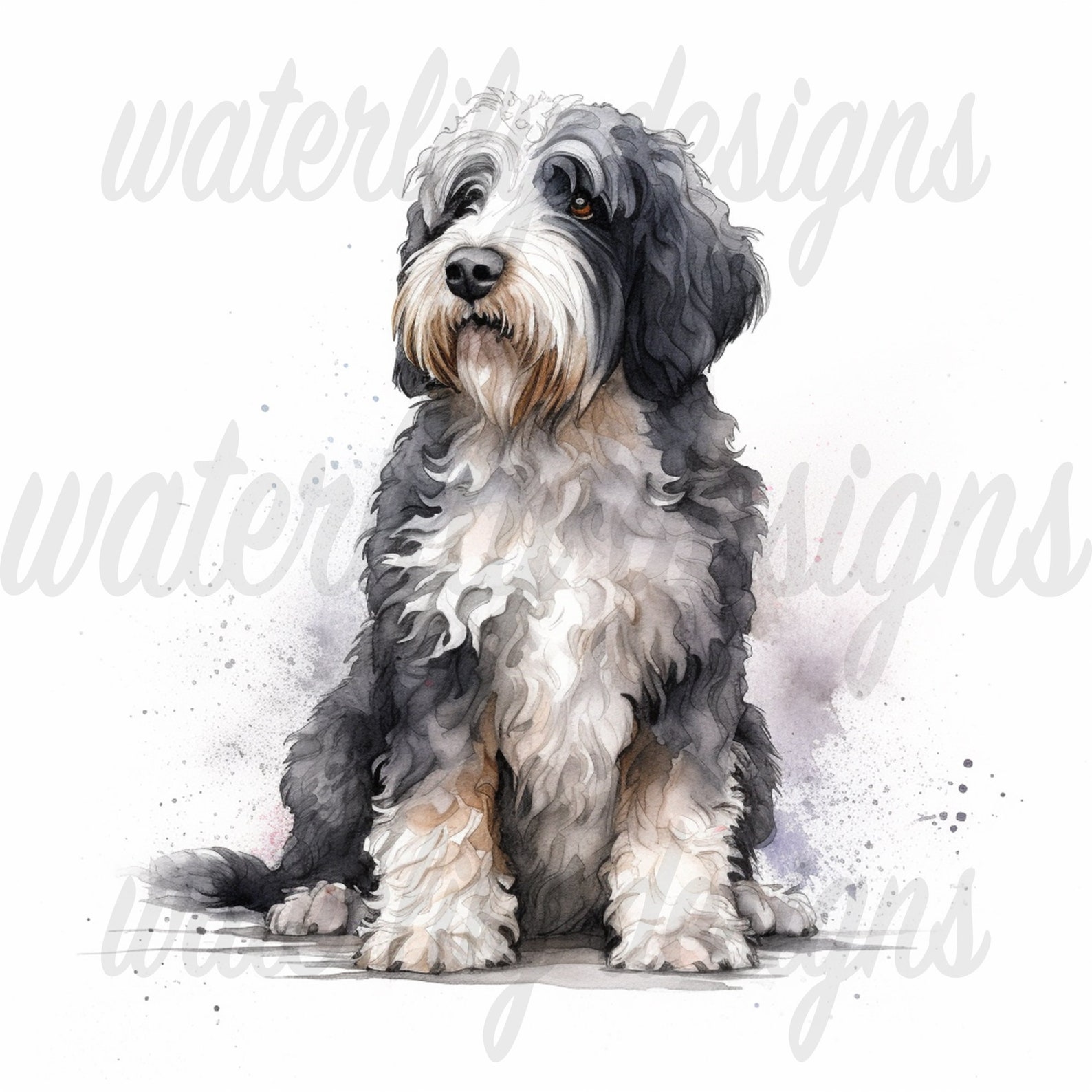 Bernedoodle Clipart Bundle 6 High Quality Vibrant Jpgs, Printable ...