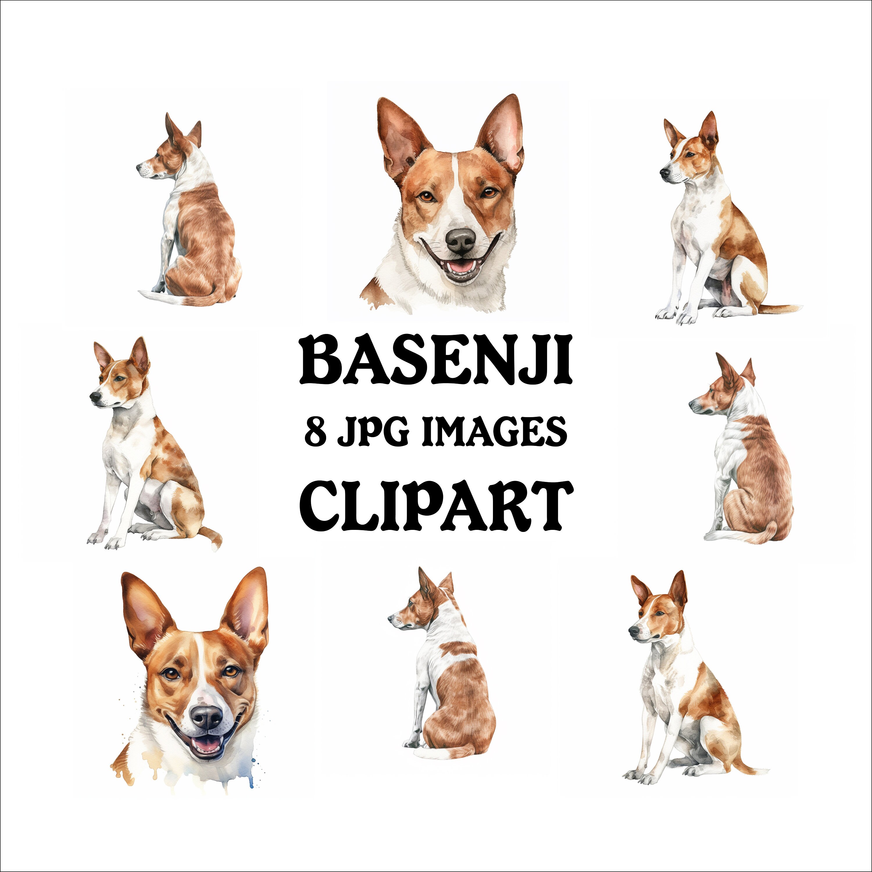 Basenji Clipart Bundle - 8 High Quality Vibrant Jpgs, Printable Planner ...