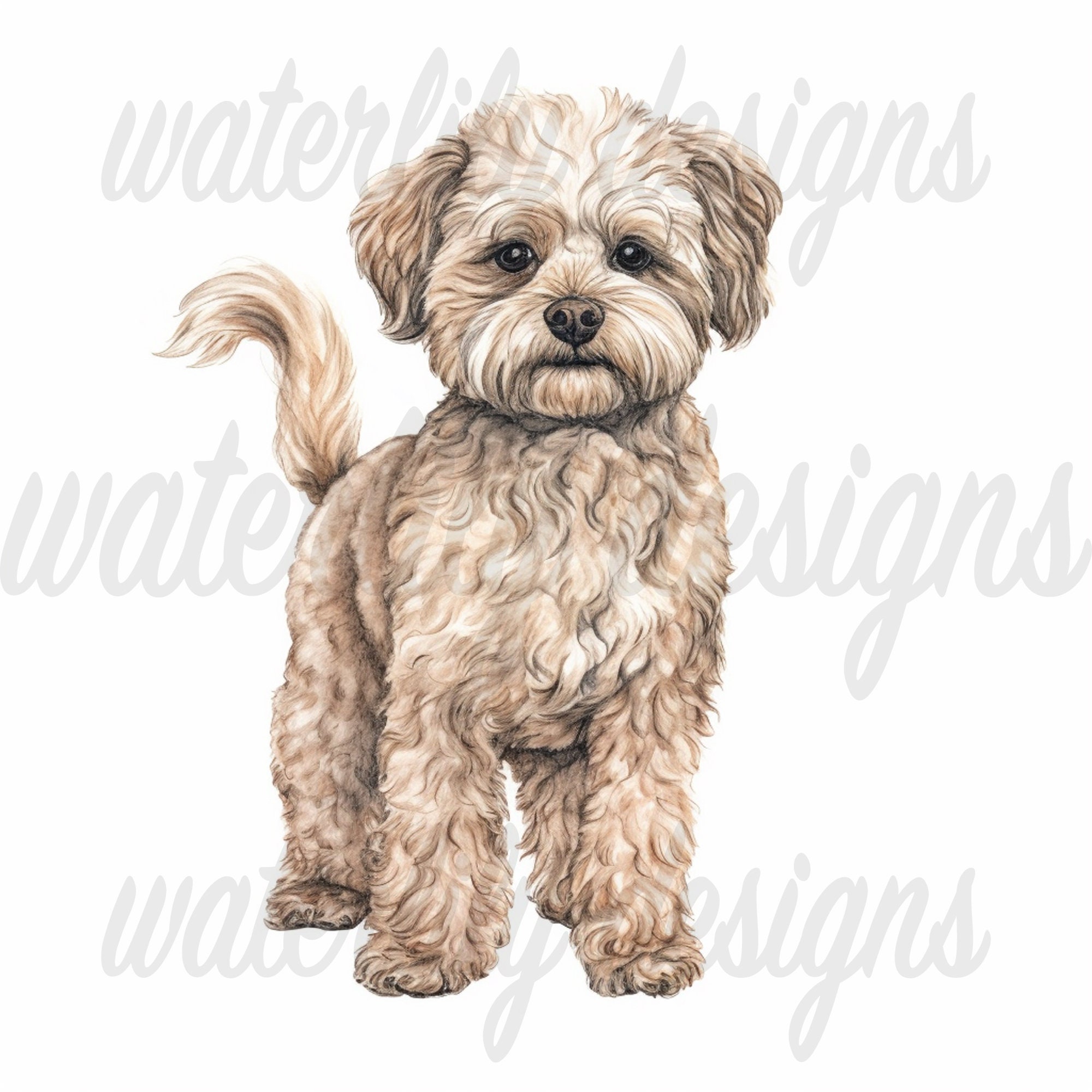 Peekapoo Clipart Bundle - 12 High Quality Vibrant Jpgs, Printable ...