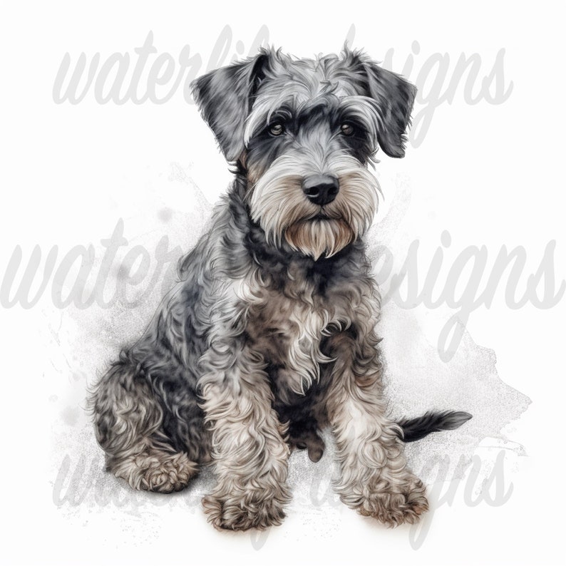 Schnoodle Clipart Bundle - 11 High Quality Vibrant Jpgs, Printable ...