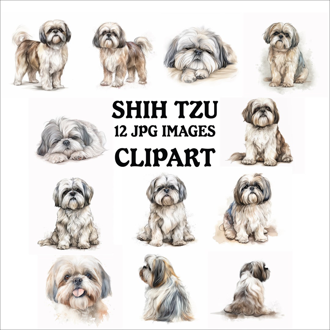 Shih Tzu Clipart Bundle - 12 High Quality Vibrant Jpgs, Printable ...