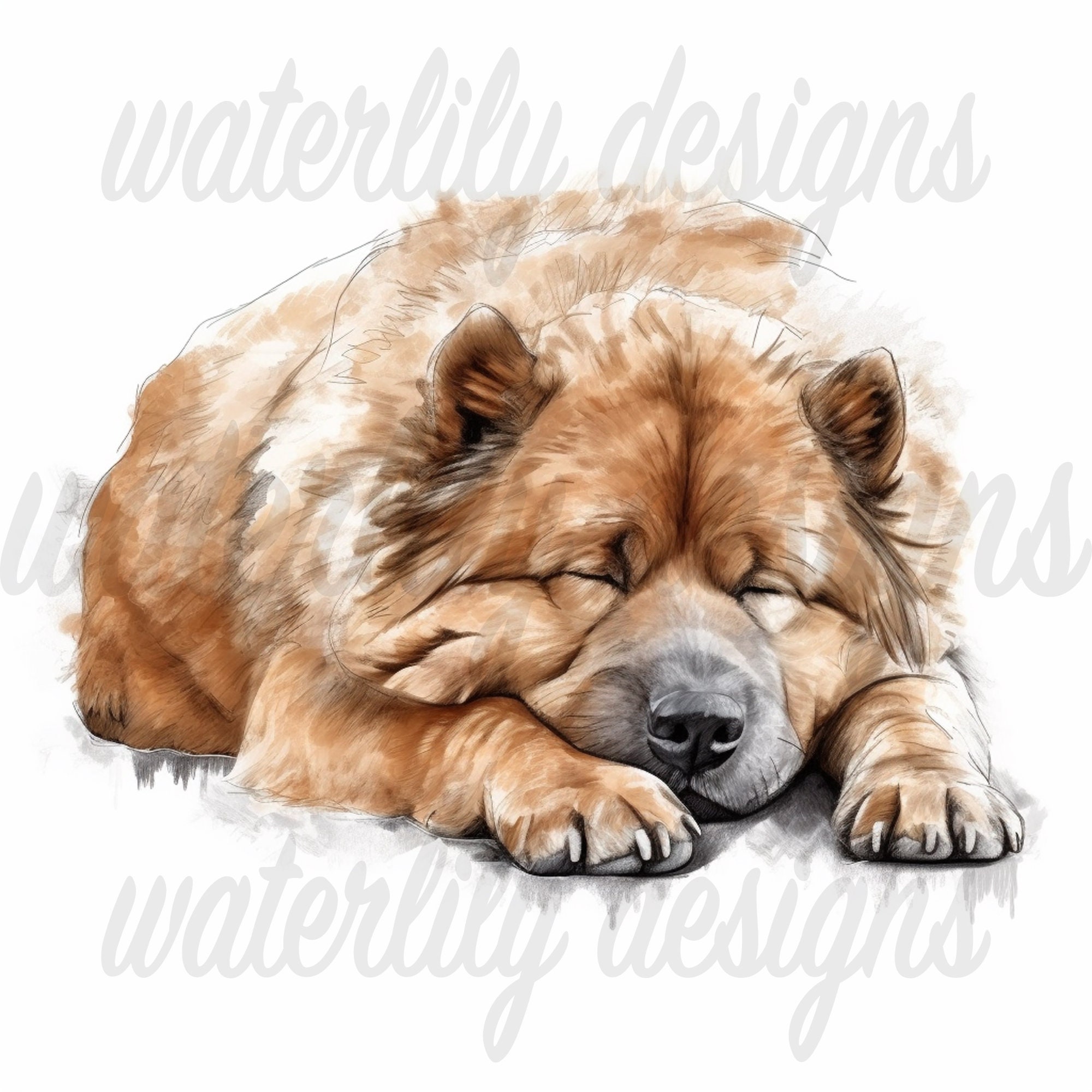 Chow Terrier Clipart Bundle 13 High Quality Vibrant Jpgs, Printable ...