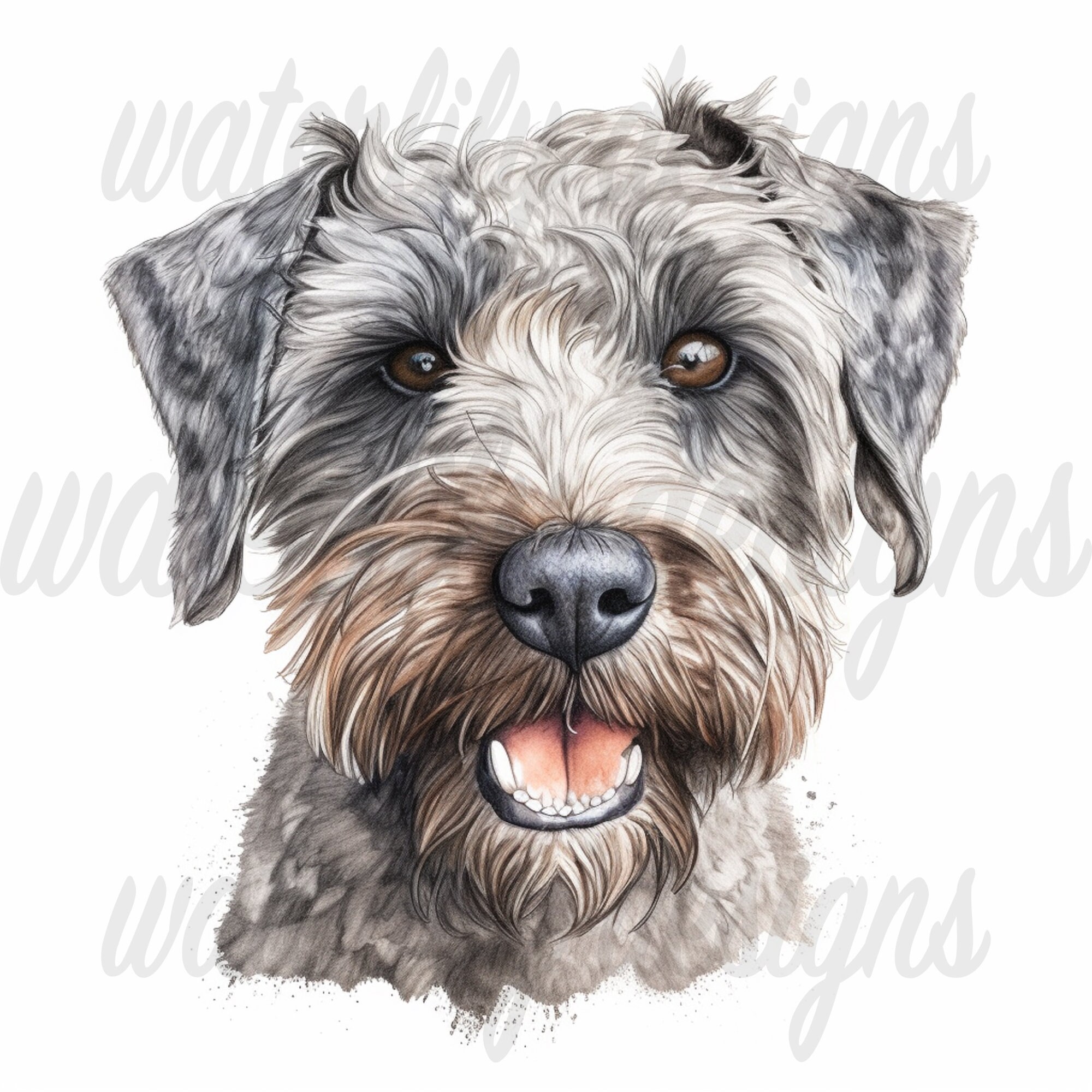 Schnoodle Clipart Bundle 11 High Quality Vibrant Jpgs, Printable ...