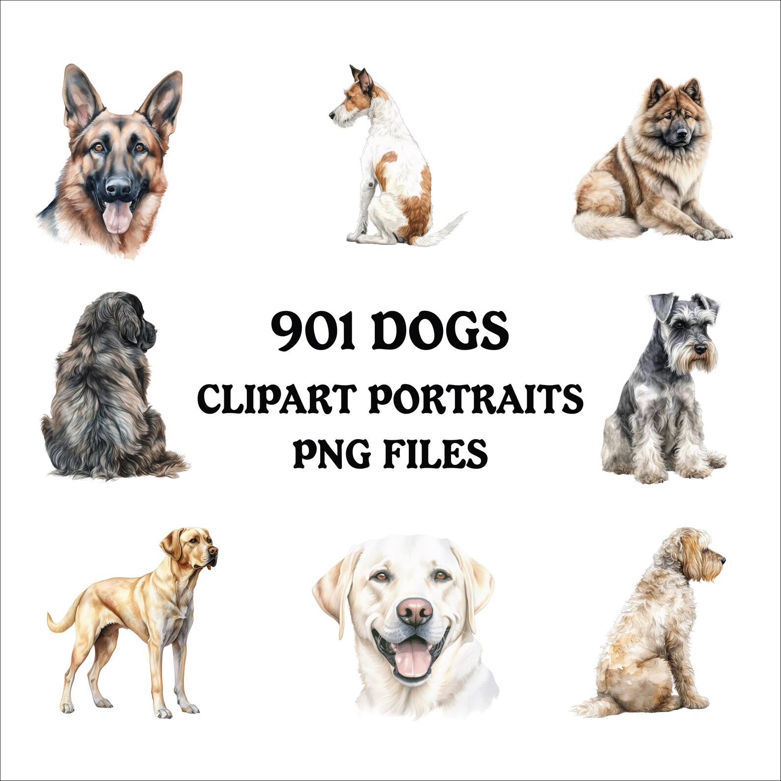 Watercolor Dog Clipart Bundle 901 High Quality Vibrant PNG Dog ...