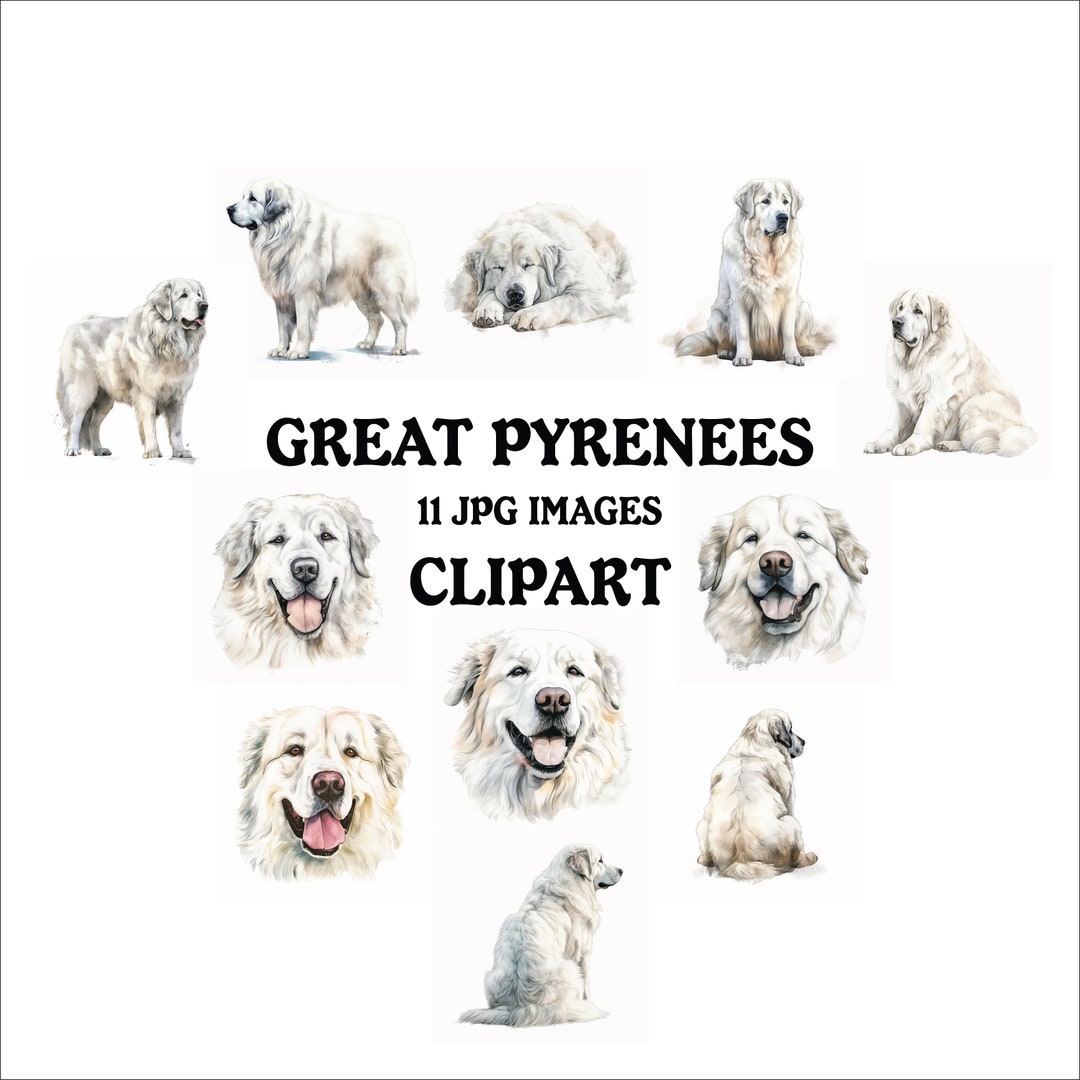 Great Pyrenees Clipart Bundle - 11 High Quality Vibrant Jpgs, Printable ...