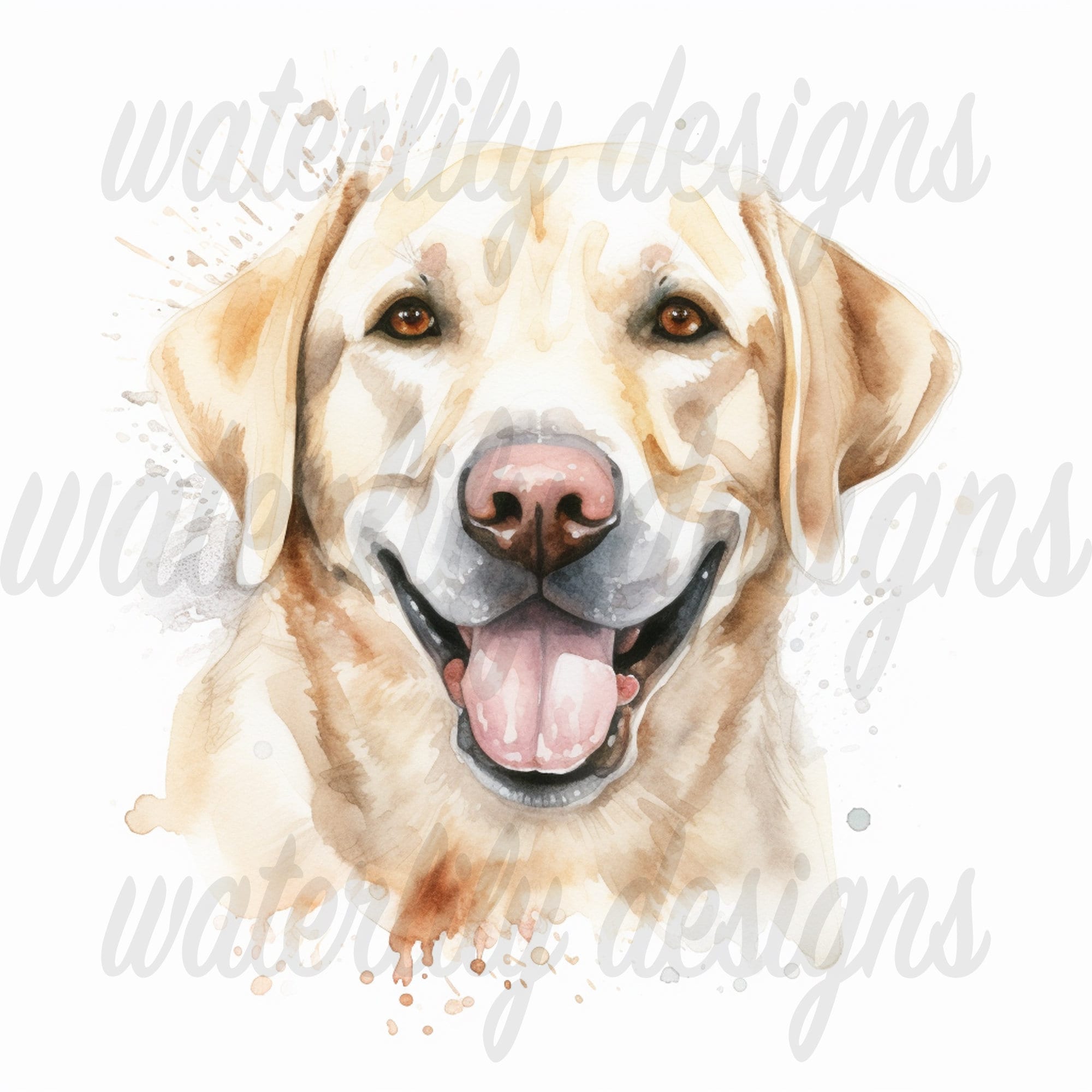 Labrador Retriever Clipart Bundle 9 High Quality Vibrant - Etsy