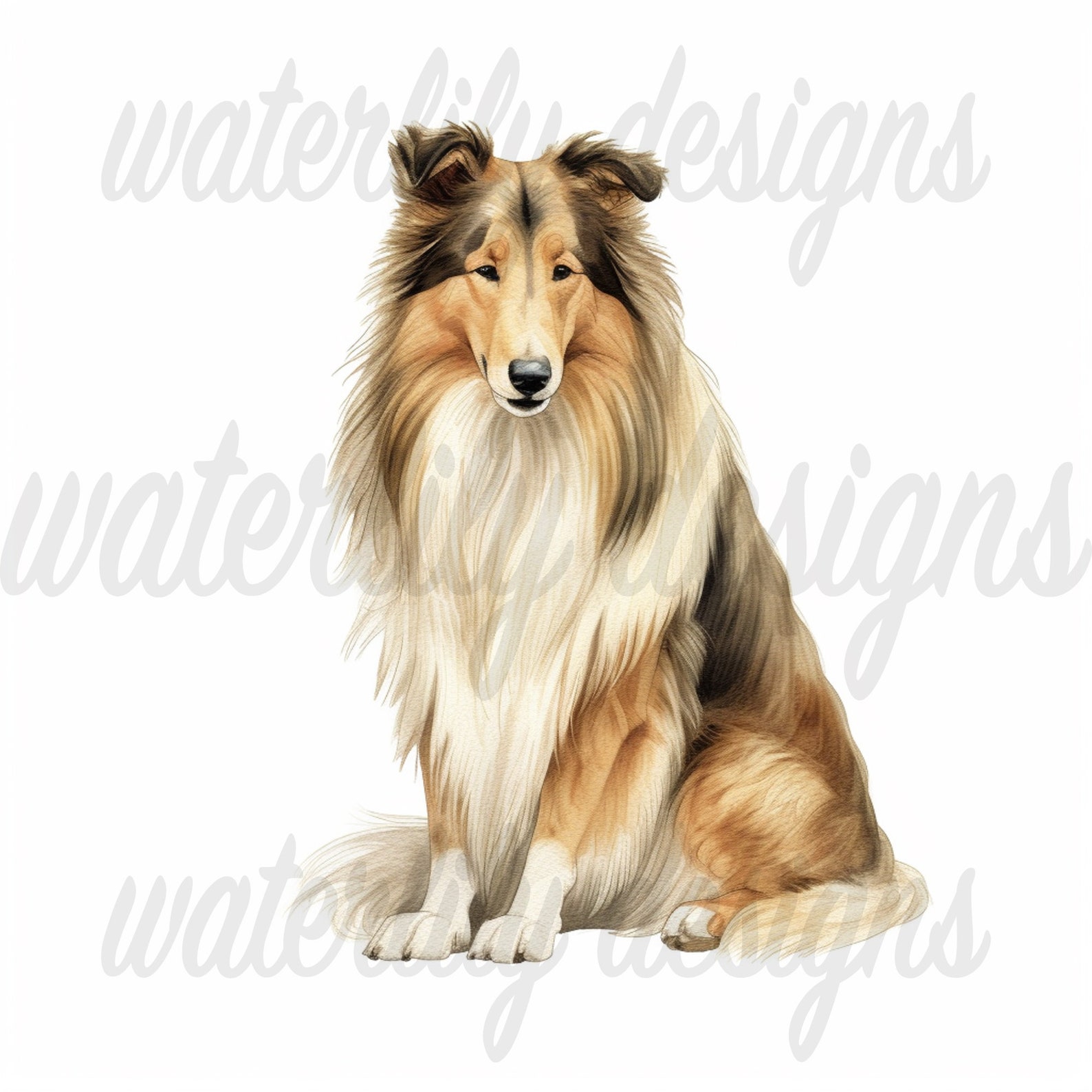 Rough Collie Clipart Bundle - 8 High Quality Vibrant Jpgs, Printable ...