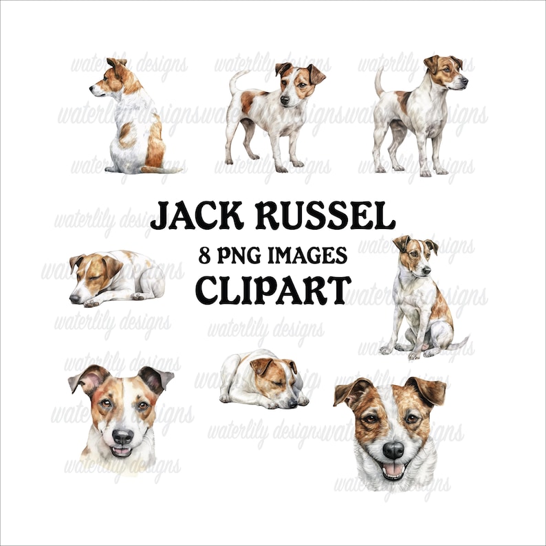 Jack Russell Clipart Bundle: Watercolor Dog Pngs (digital Download) - Etsy