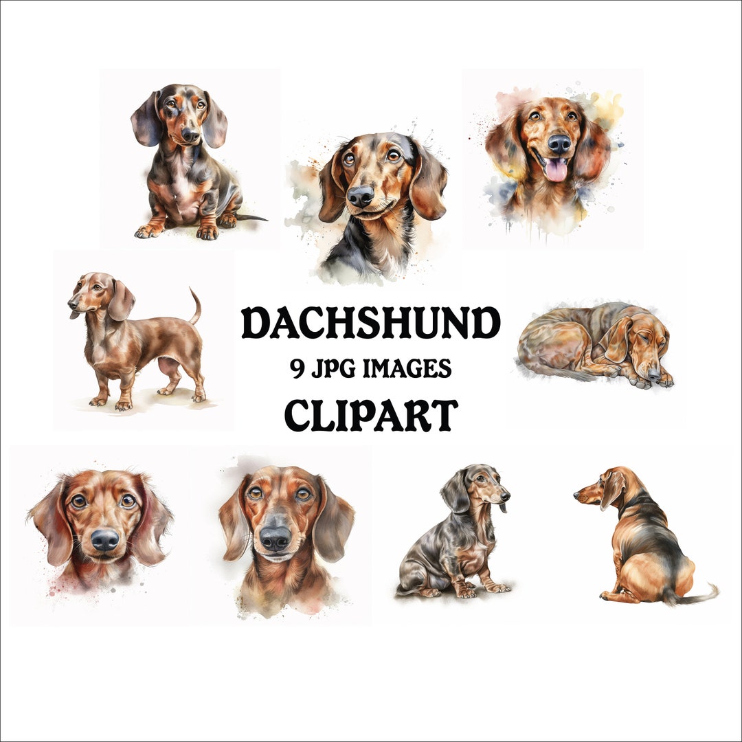 Dachshund Clipart Bundle - 9 High Quality Vibrant Jpgs, Printable ...