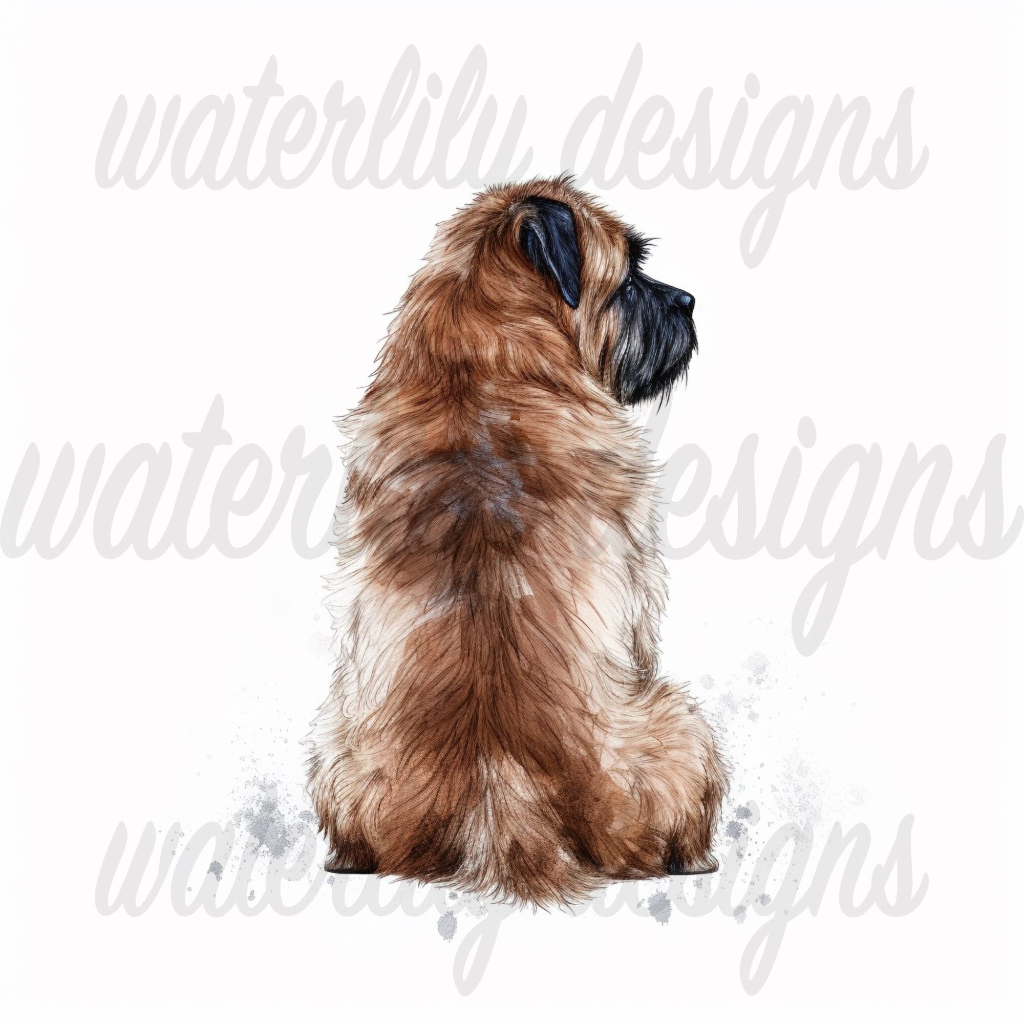 Chow Terrier Clipart Bundle 13 High Quality Vibrant Jpgs, Printable ...