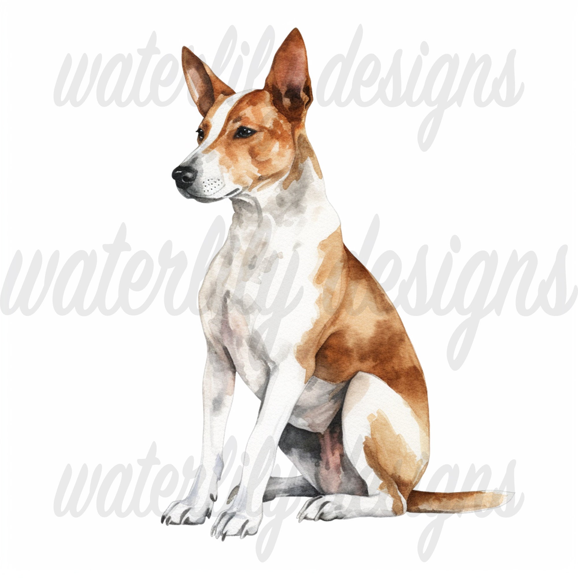 Basenji Clipart Bundle - 8 High Quality Vibrant Jpgs, Printable Planner ...