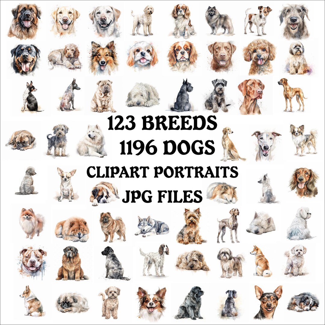 Watercolor Dog Portraits Clipart: 123 Breeds (digital Download) - Etsy