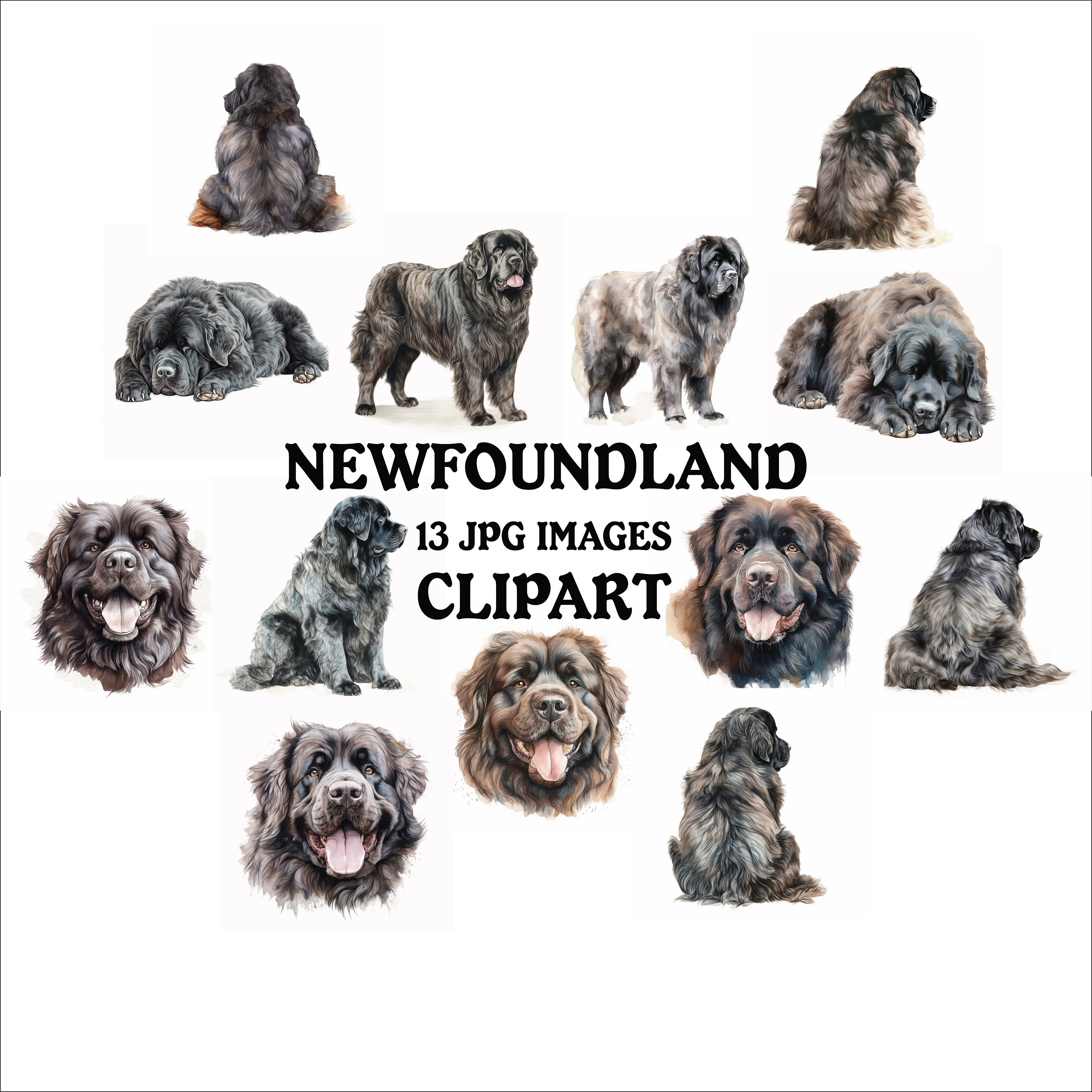 Newfoundland Clipart Bundle 13 High Quality Vibrant Jpgs, Printable ...