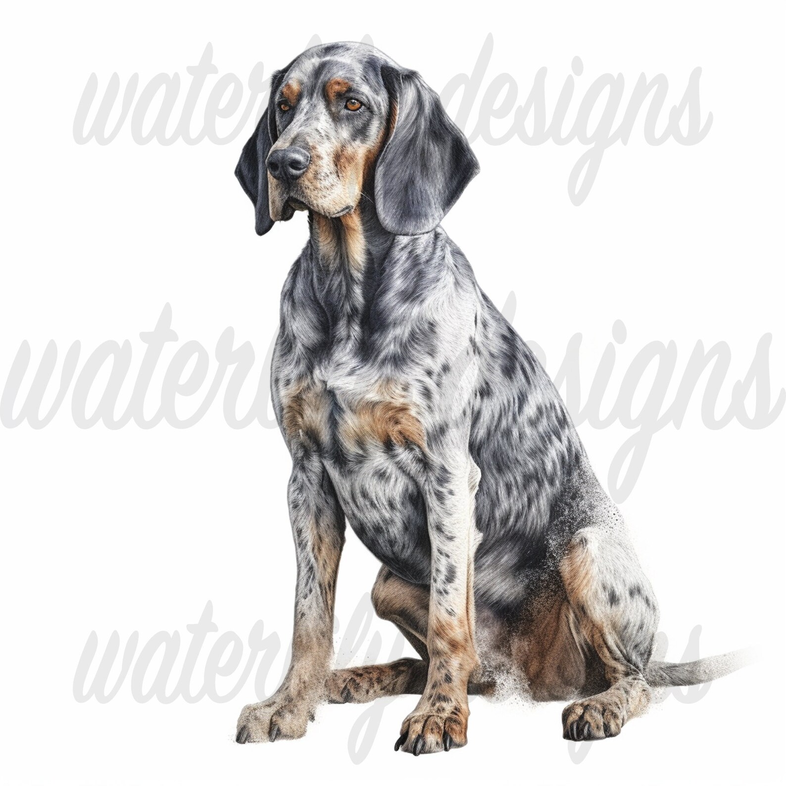 Bluetick Coonhound Clipart Bundle - 9 High Quality Vibrant Jpgs, Printable Planner Crafting ...