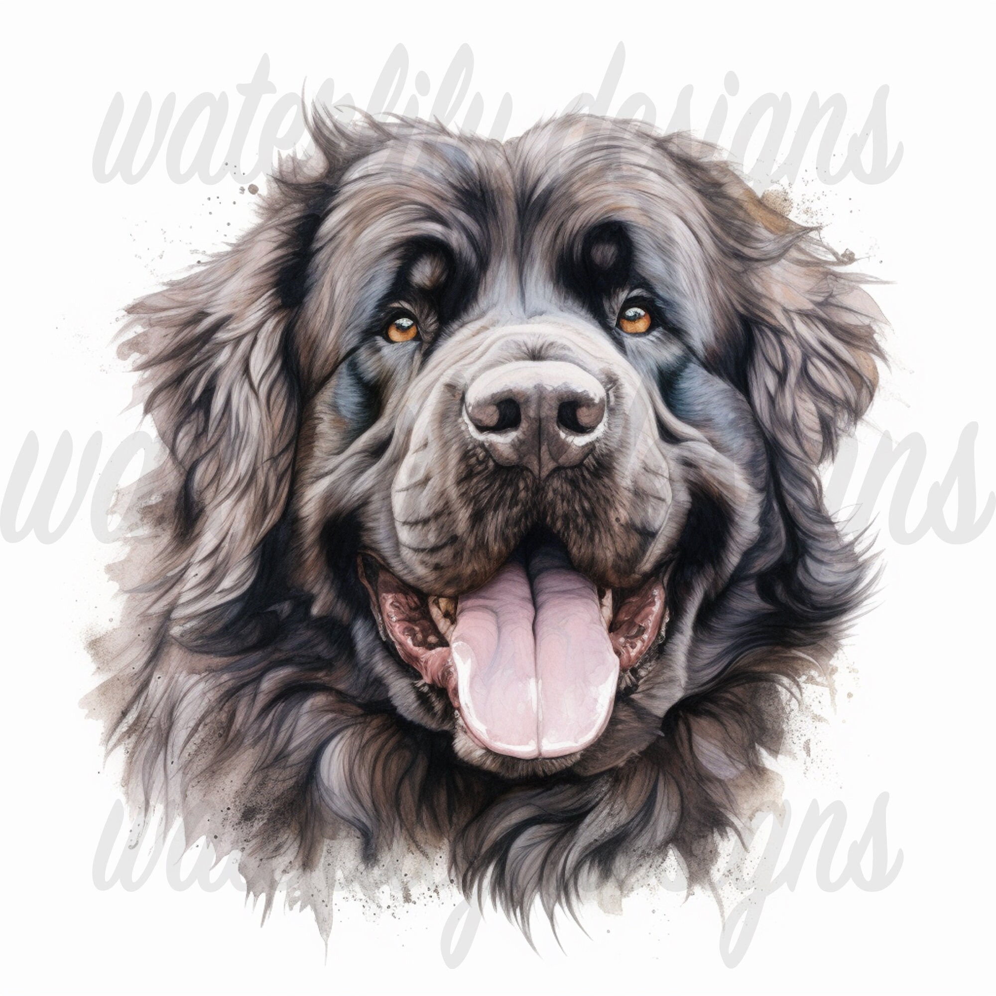 Newfoundland Clipart Bundle 13 High Quality Vibrant Jpgs, Printable ...