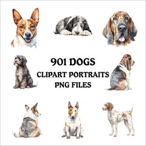 Watercolor Dog Clipart Bundle 901 High Quality Vibrant PNG Dog ...