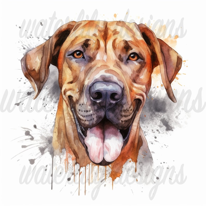 Rhodesian Ridgeback Clipart Bundle - 11 High Quality Vibrant Jpgs ...