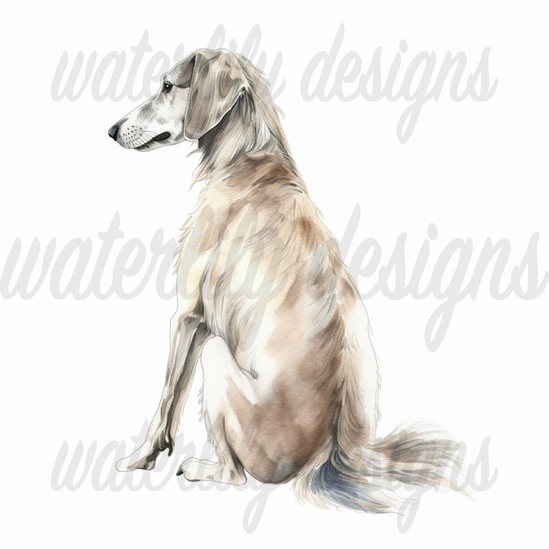 Saluki Clipart Bundle - 9 High Quality Vibrant Jpgs, Printable Planner ...